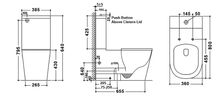 Buy Online Caleb Disable Back To Wall Toilet Suite in Melbourne